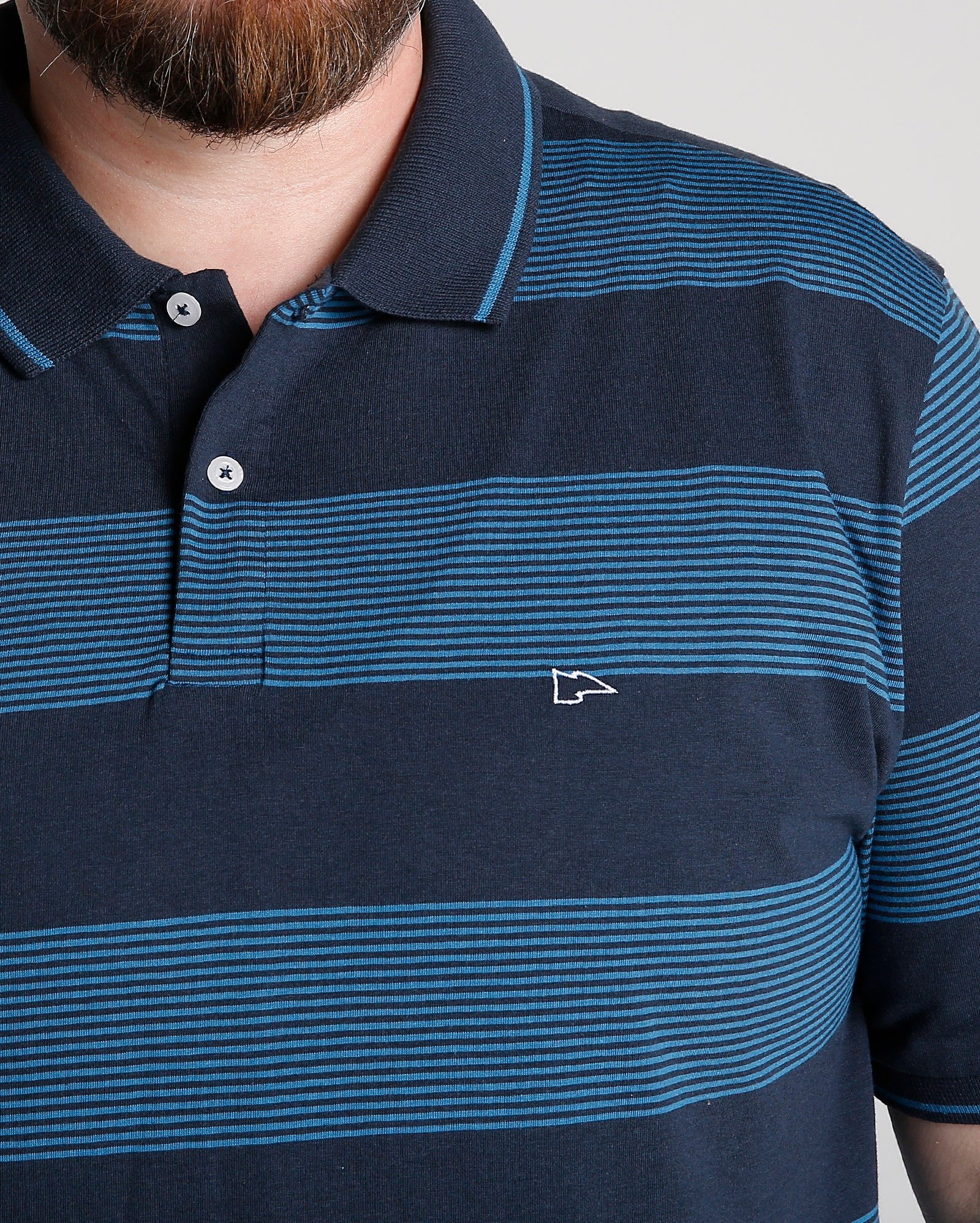 Riachuelo | Camisa Polo Plus Size Listrada - Azul