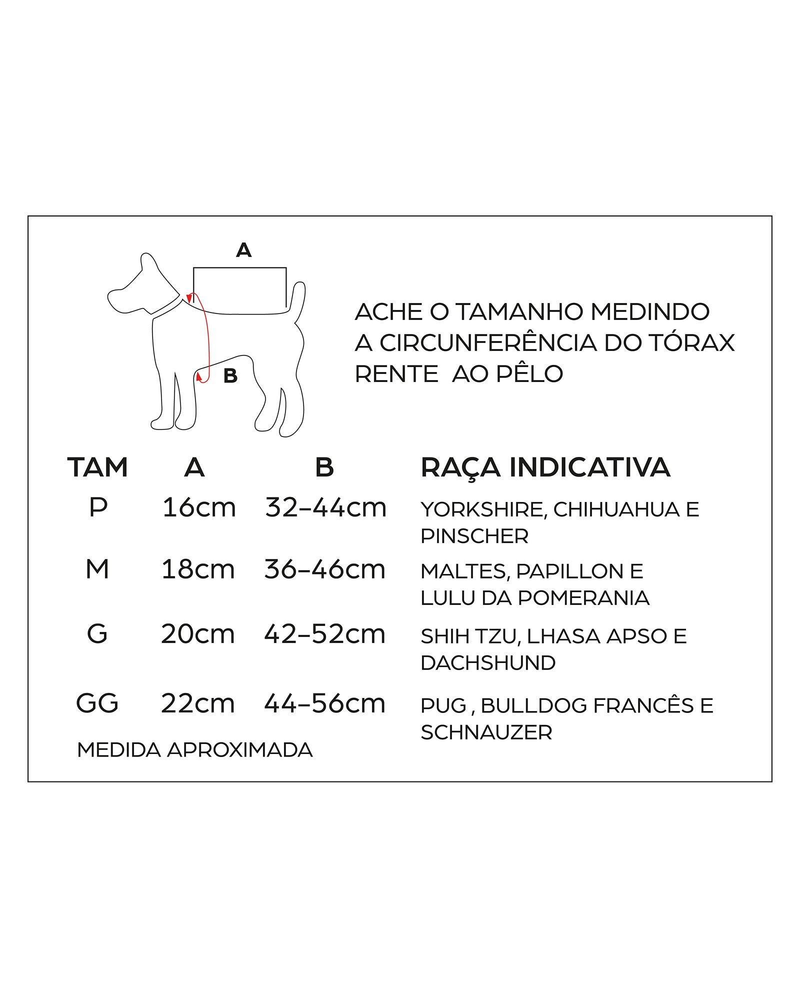 Riachuelo | Peitoral e Guia Snoopy G Amarelo