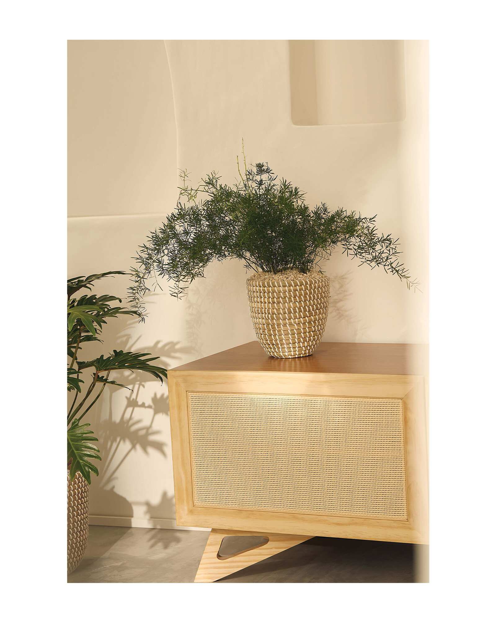 Riachuelo | Cachepot Trançado Fibra Natural Mart Bege 19x19cm