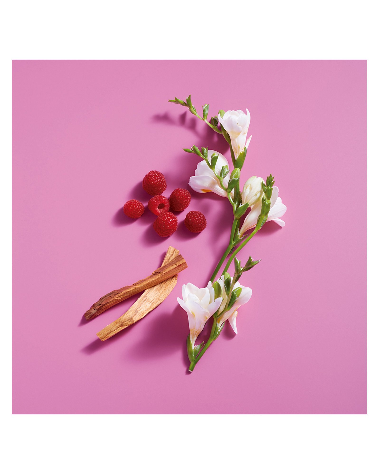 Riachuelo | Kit Perfume Sisterland Pink Raspberry Benetton Feminino Eau ...