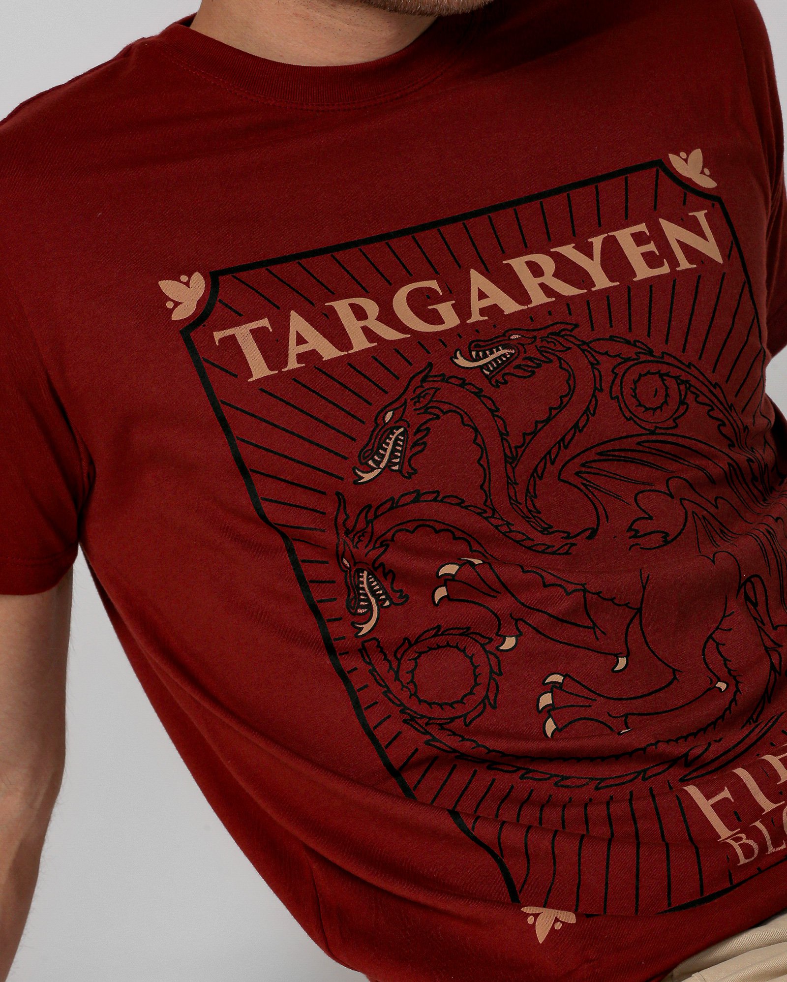 Riachuelo | Camiseta Targaryen House of the Dragon marrom | HBO