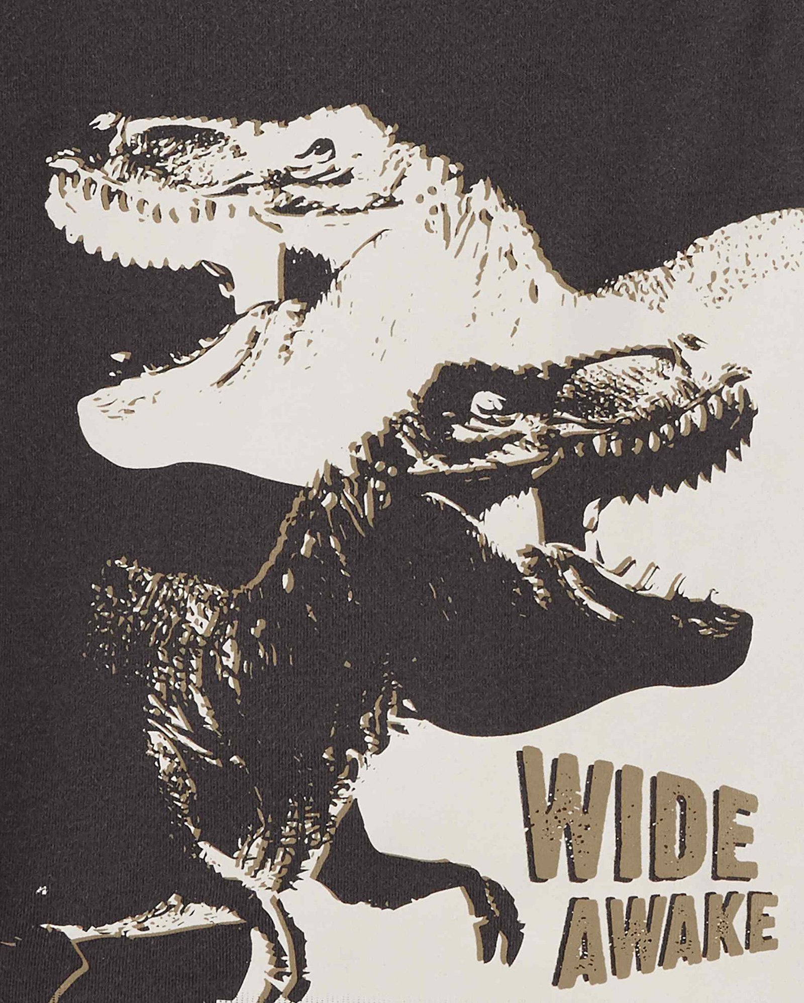 Riachuelo | Pijama longo infantil 4 peças t-rex dinossauro cinza | Carter's