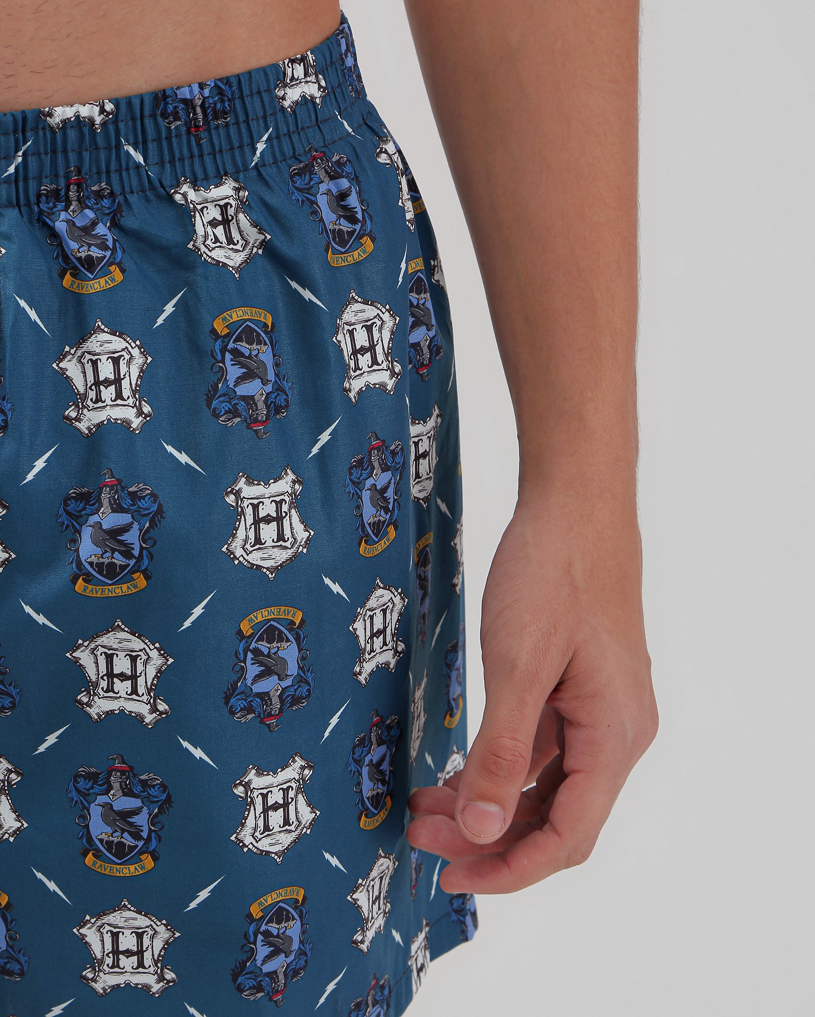 Cueca samba canção Corvinal de Hogwarts azul | Harry Potter | FANLAB ...