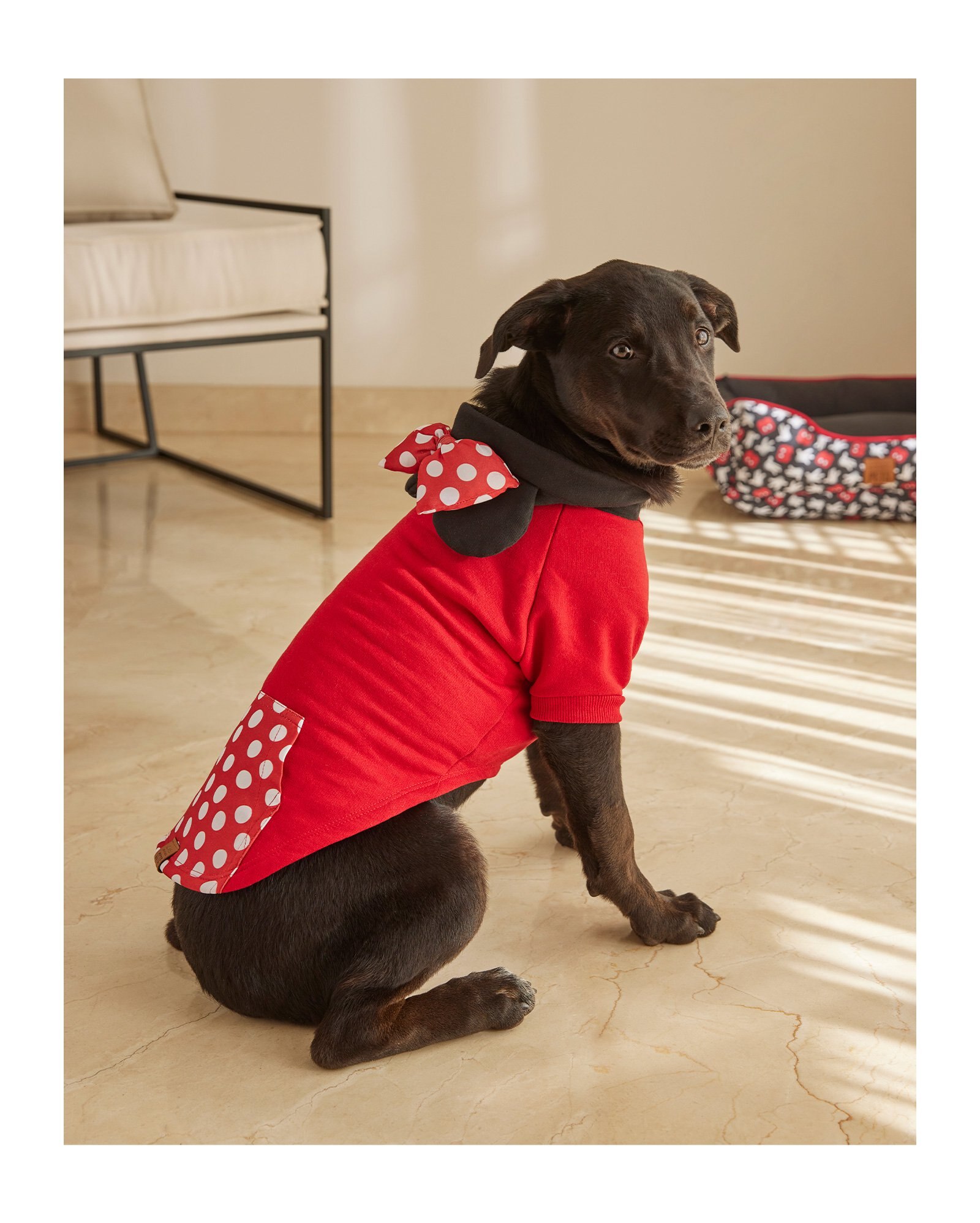 Riachuelo | Roupa de moletom pet Minnie P vermelha | Disney