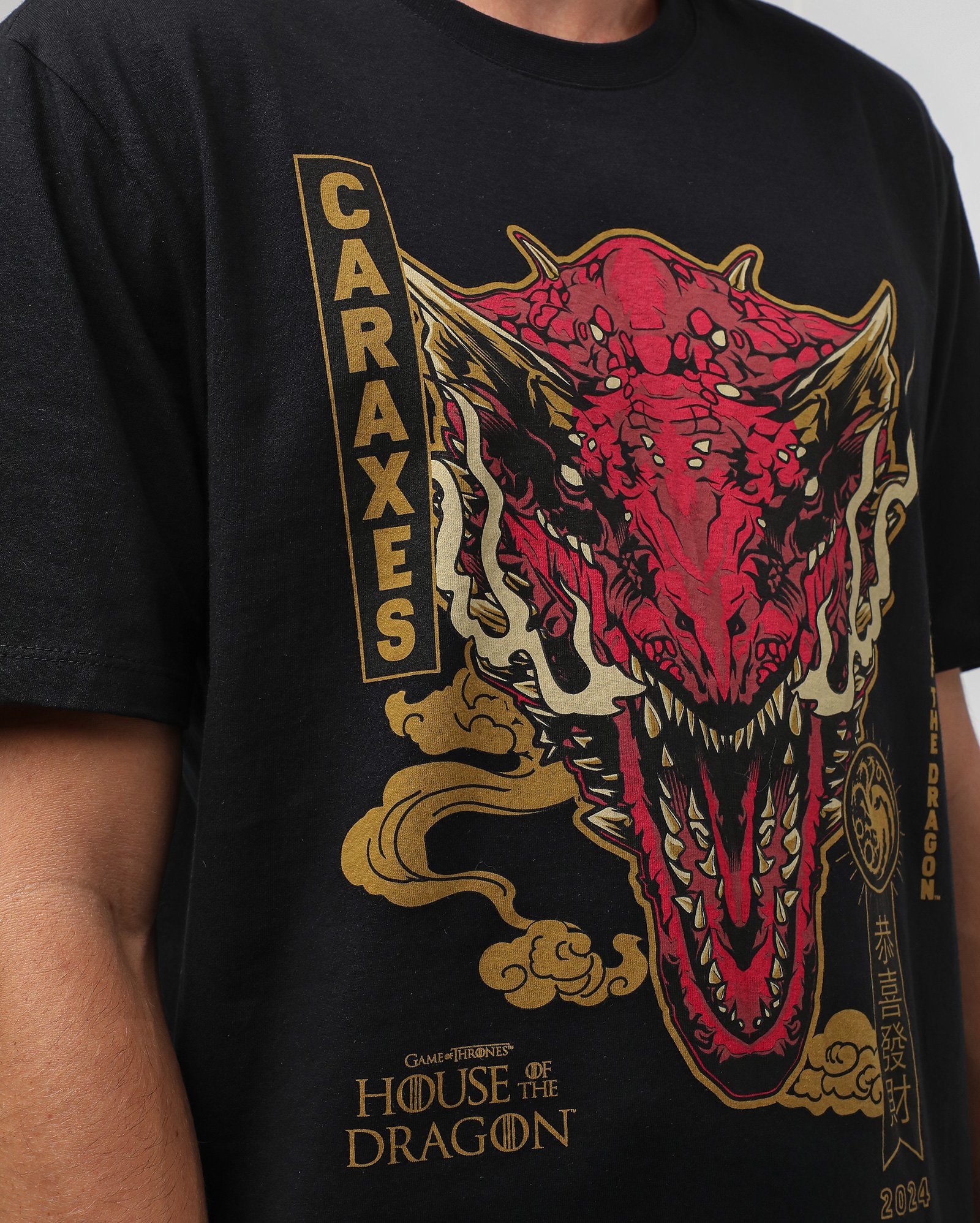 Riachuelo | Camiseta masculina Caraxes House of Dragon preta | HBO