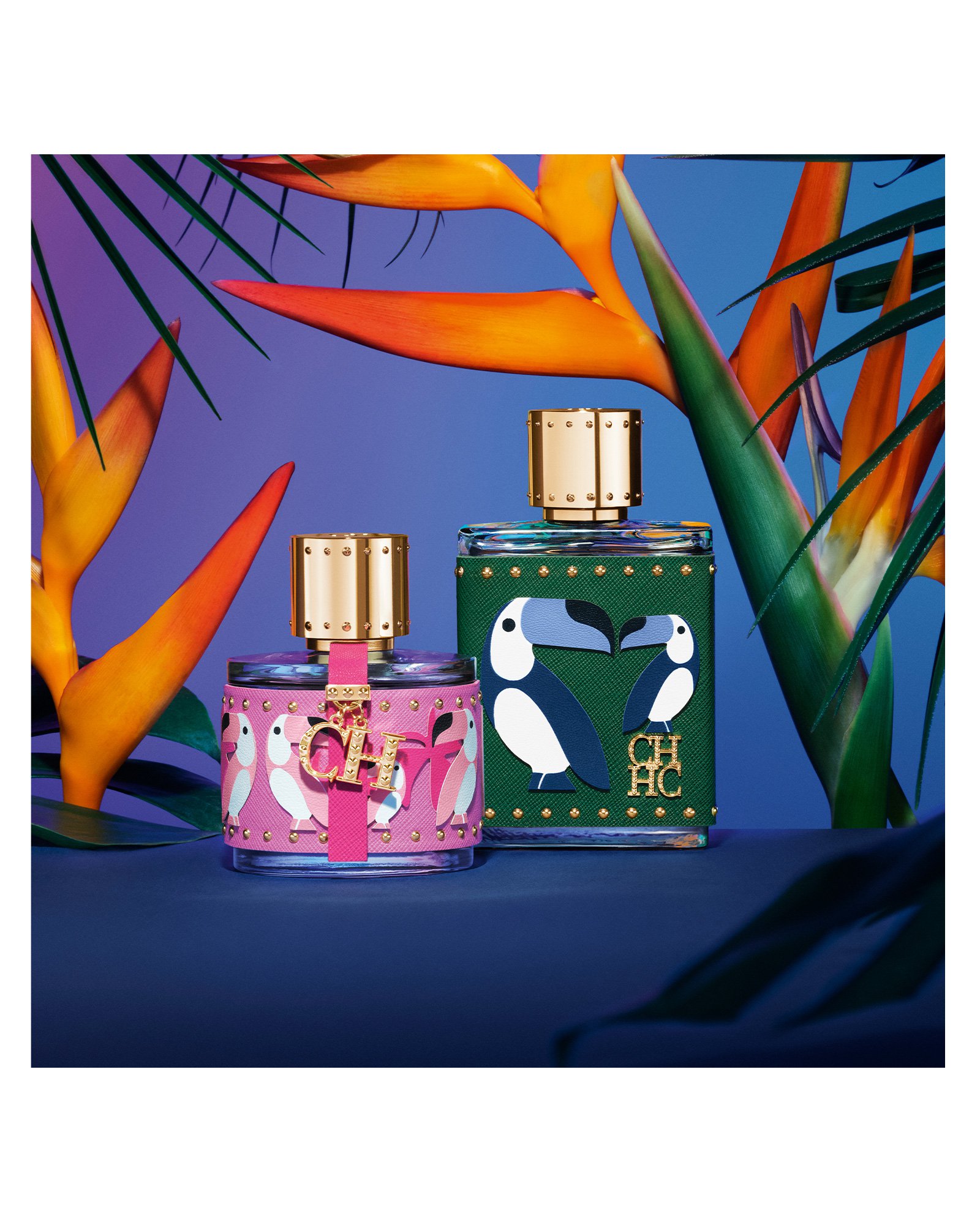 Riachuelo | Perfume masculino Birds Of Paradise EDP 100ml | Carolina ...