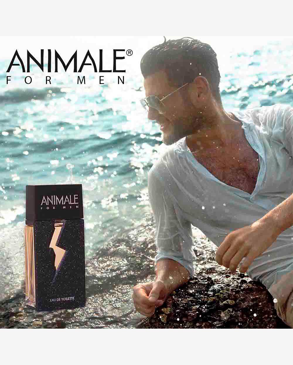 Riachuelo | Animale For Men Eau de Toilette Perfume Masculino 100ml