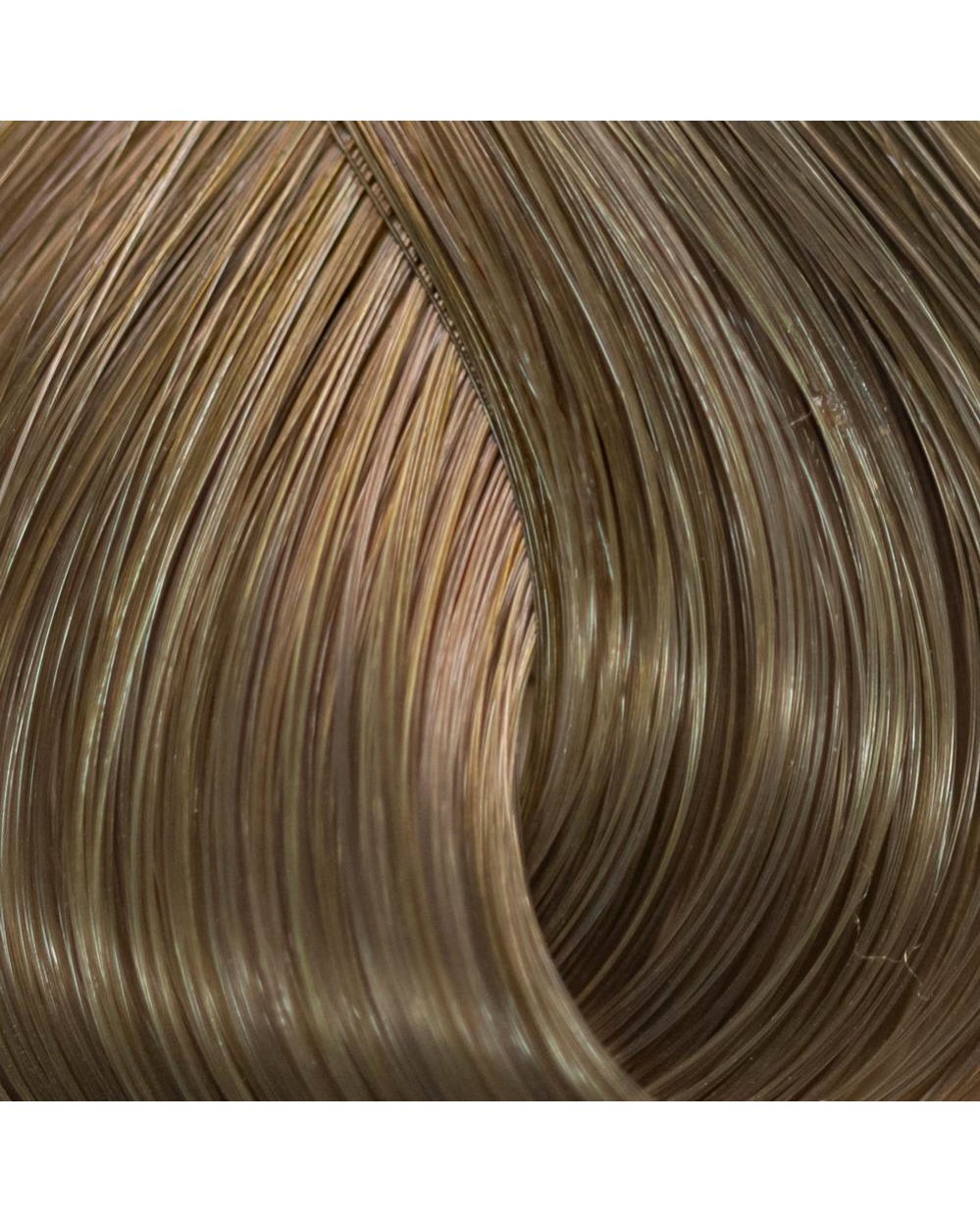 Riachuelo | Wella Professionals Color Perfect 6/0 Coloração 60g