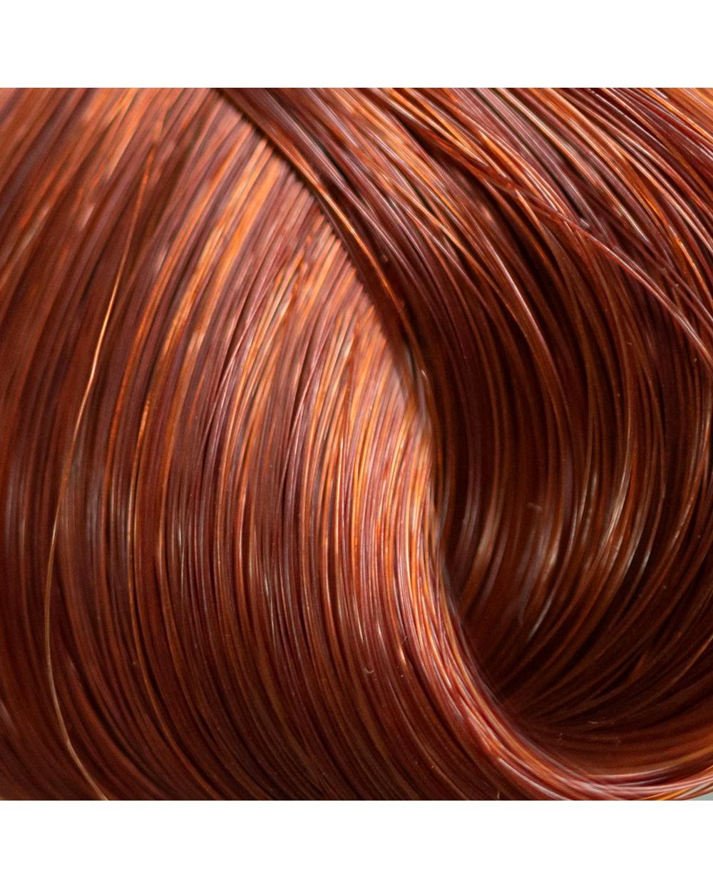 Riachuelo | Wella Professionals Color Perfect 6/4 Coloração 60g