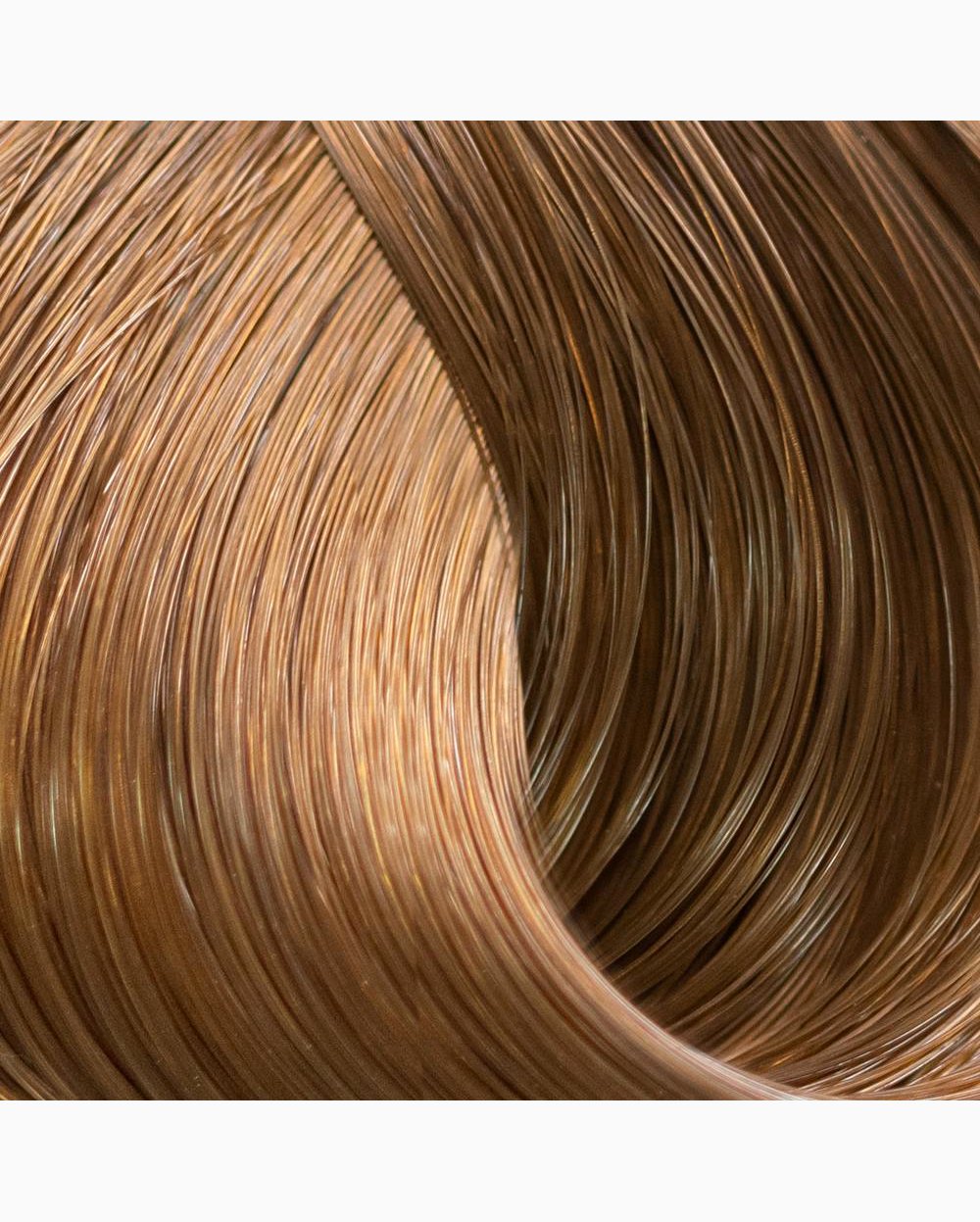 Riachuelo | Wella Professionals Color Perfect 7/73 Coloração 60g