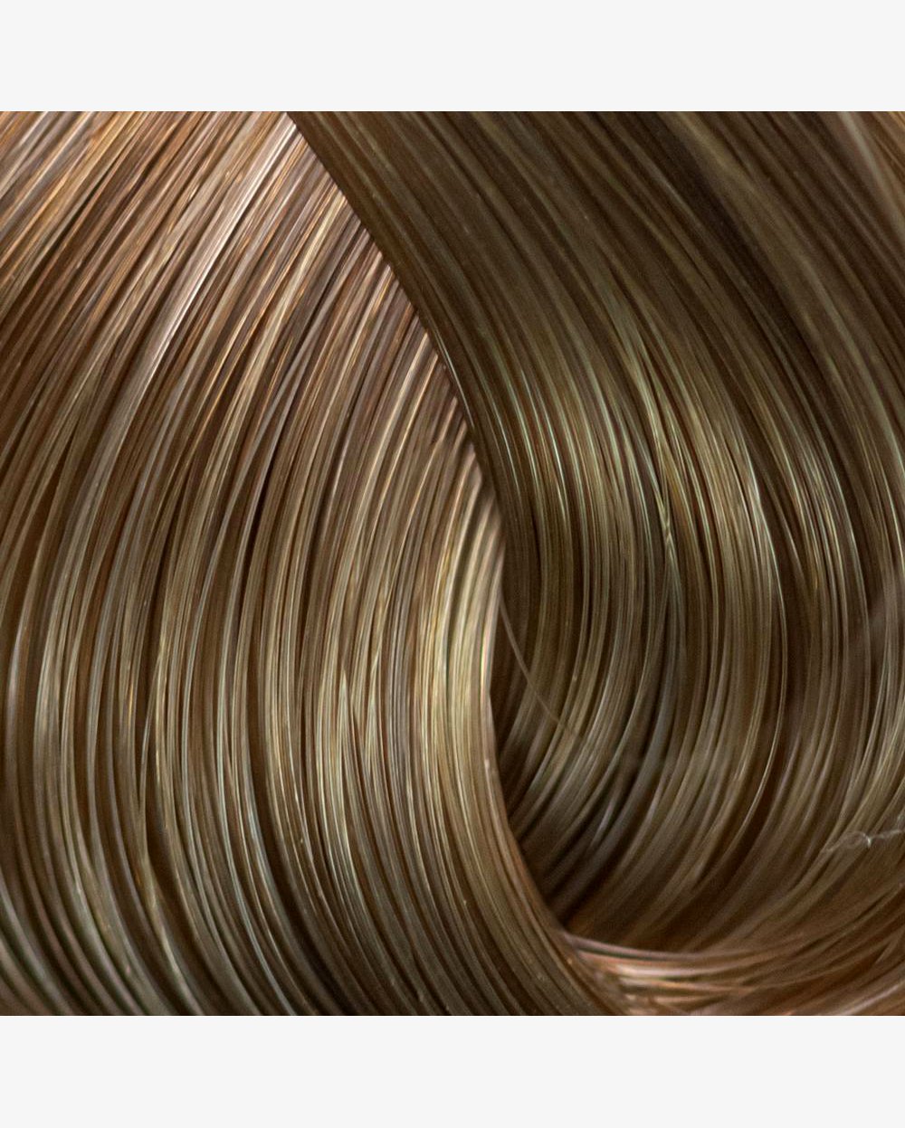 Riachuelo | Wella Professionals Color Touch 8/71 Coloração 60g