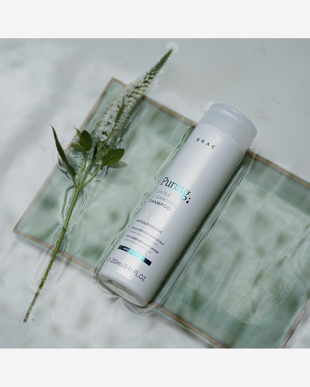 Riachuelo | Braé Puring Shampoo 250ml