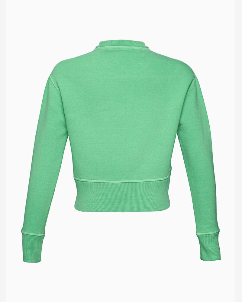 Riachuelo | Casaco Ckjg Crop Moletom Lavado - Verde Menta