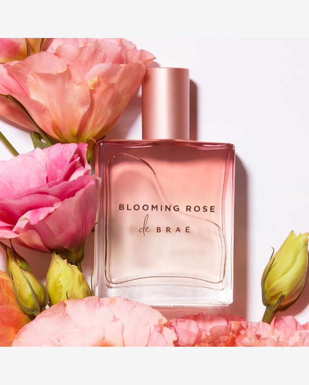 Riachuelo | Kit Braé Hair Protein e Blooming Rose Perfume Capilar (2 ...