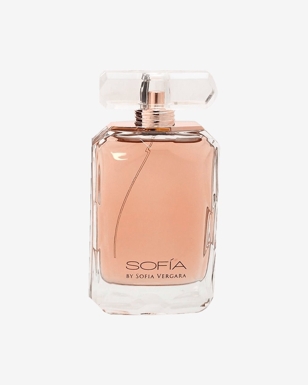Riachuelo | SOFIA BY SOFIA VERGARA EDP 100ML