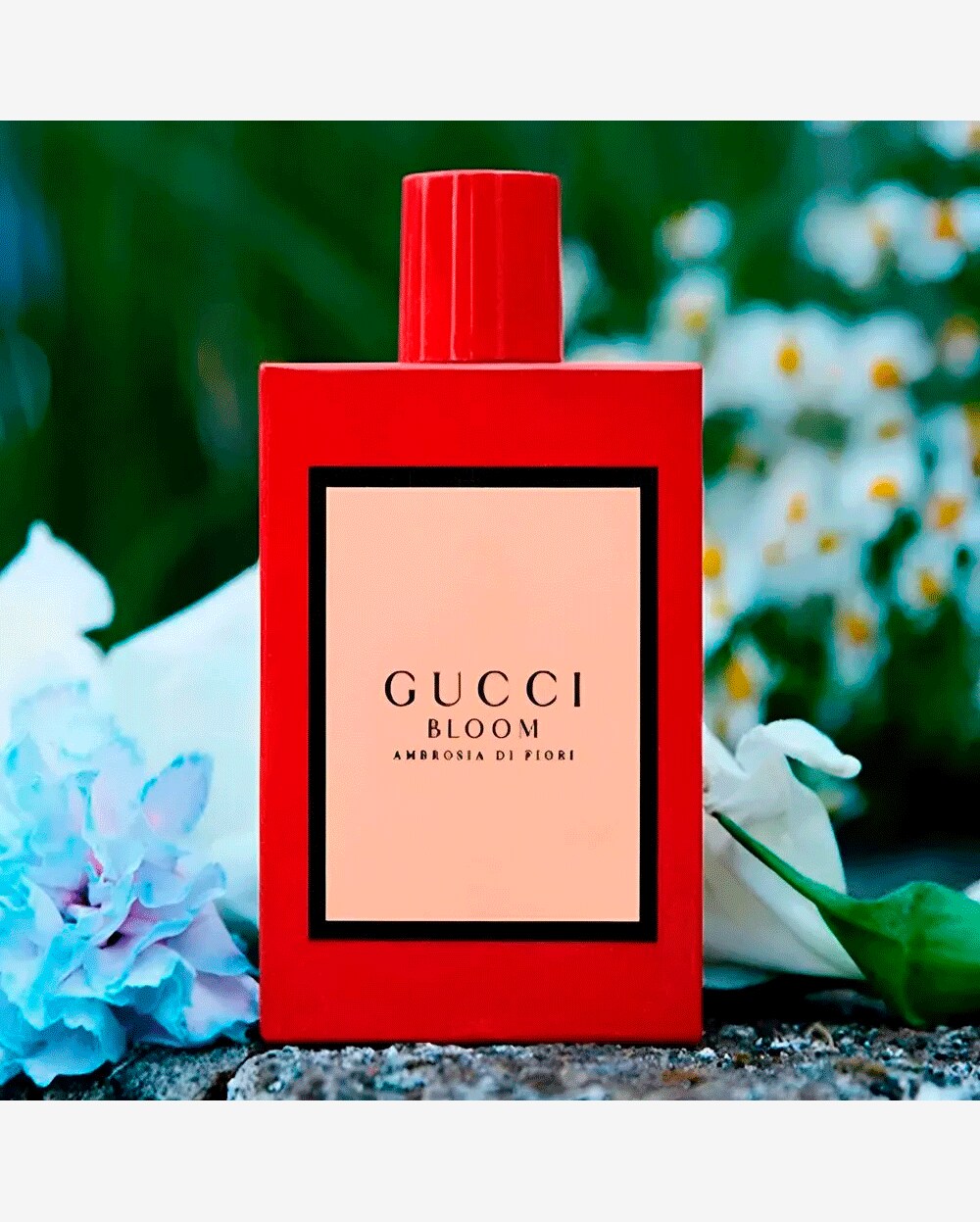Riachuelo | Gucci Bloom Ambrosia Di Fiora Eau de Parfum Intense ...