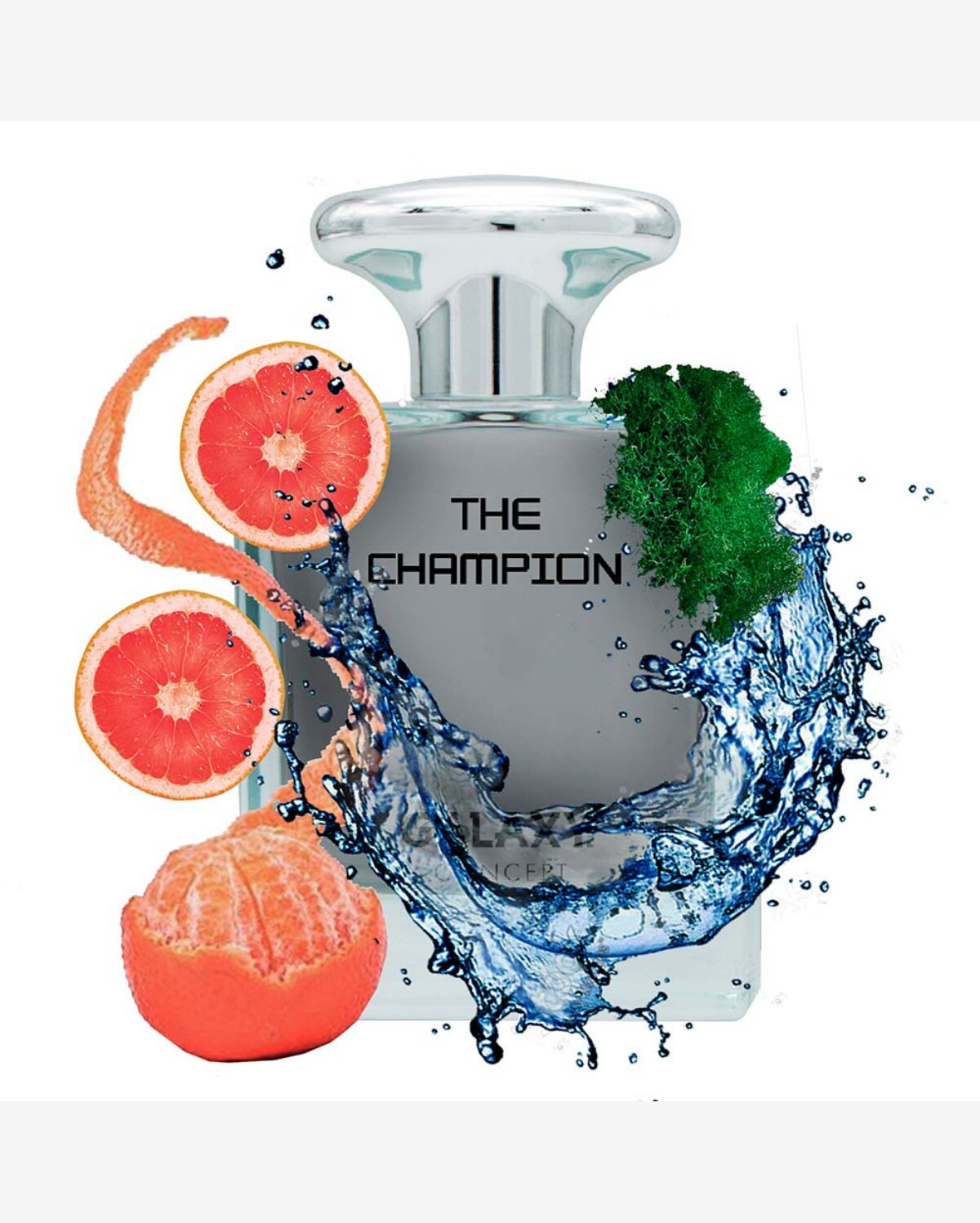 Riachuelo | PERFUME IMPORTADO MASCULINO THE CHAMPION GALAXY PLUS ...