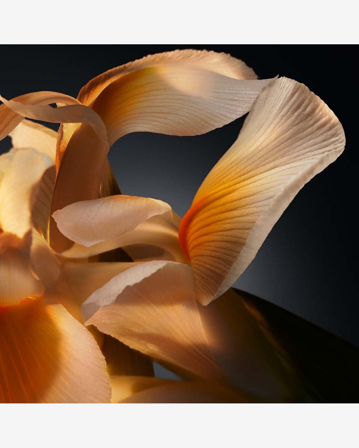 Riachuelo | Perfume Masculino Bottled Parfum de Hugo Boss 200ml