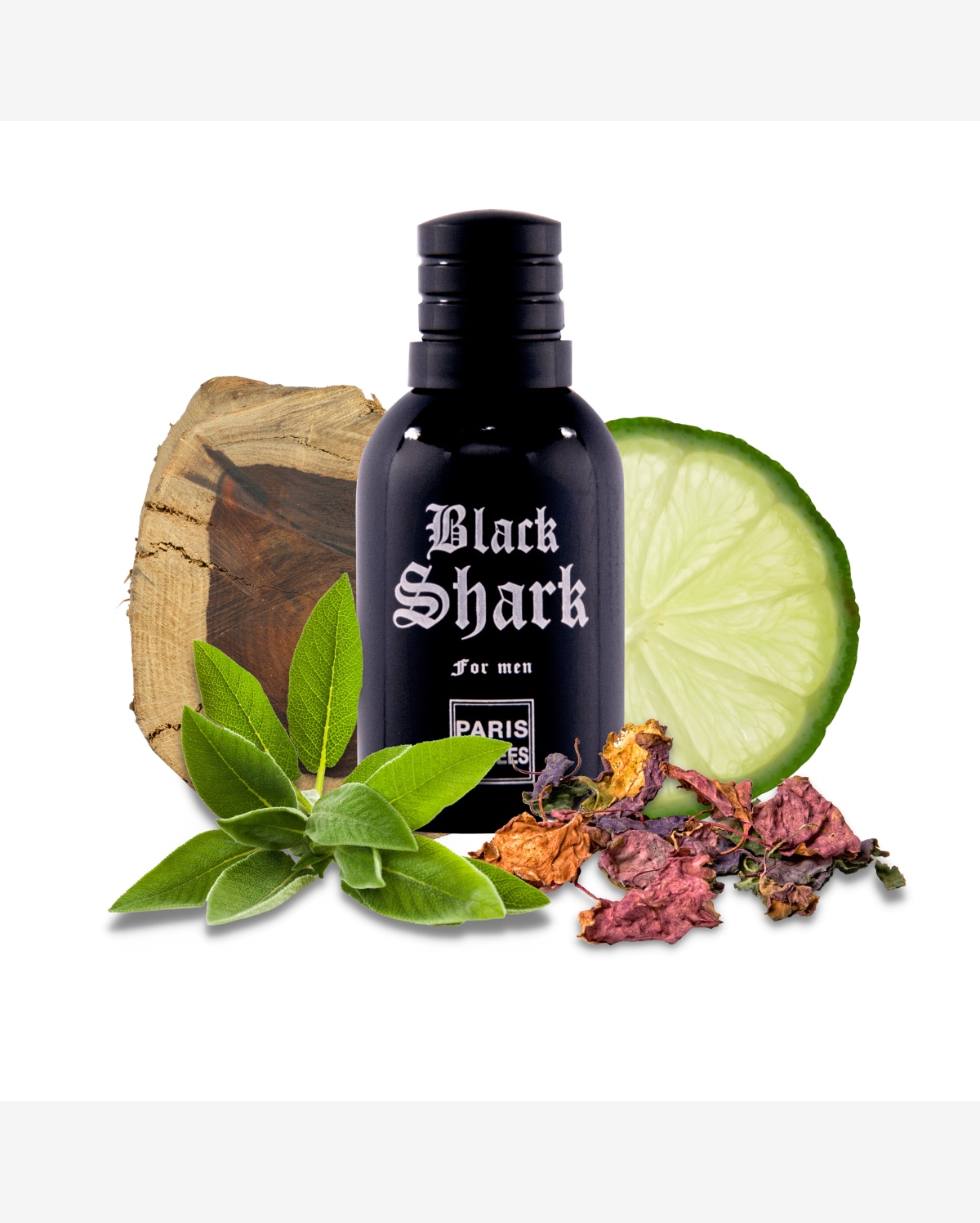 Riachuelo | Perfume Masculino Black Shark Paris Elysees Edt 100 Ml