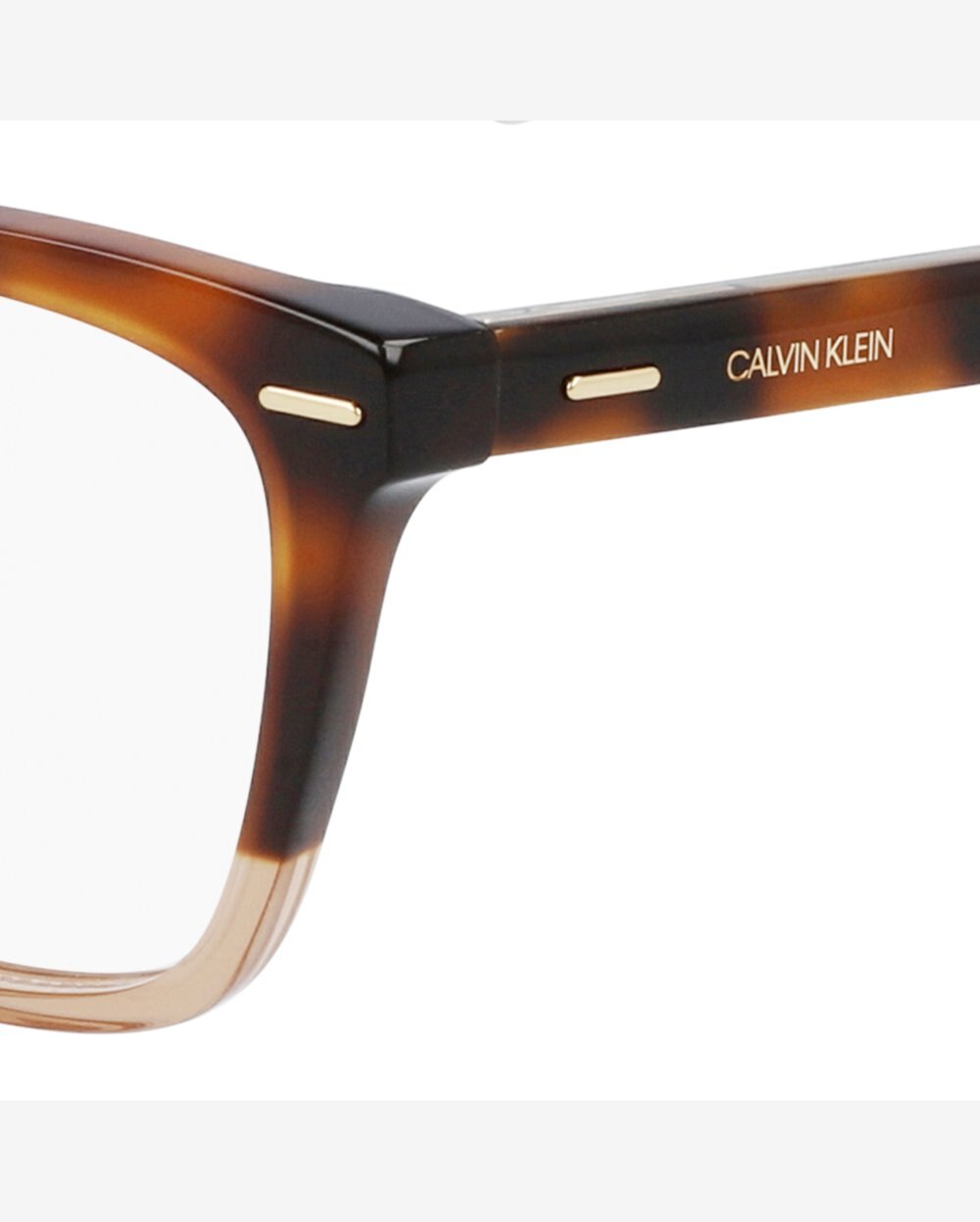 Riachuelo | Armação de Óculos Calvin Klein CK21501 240 - 54 Marrom