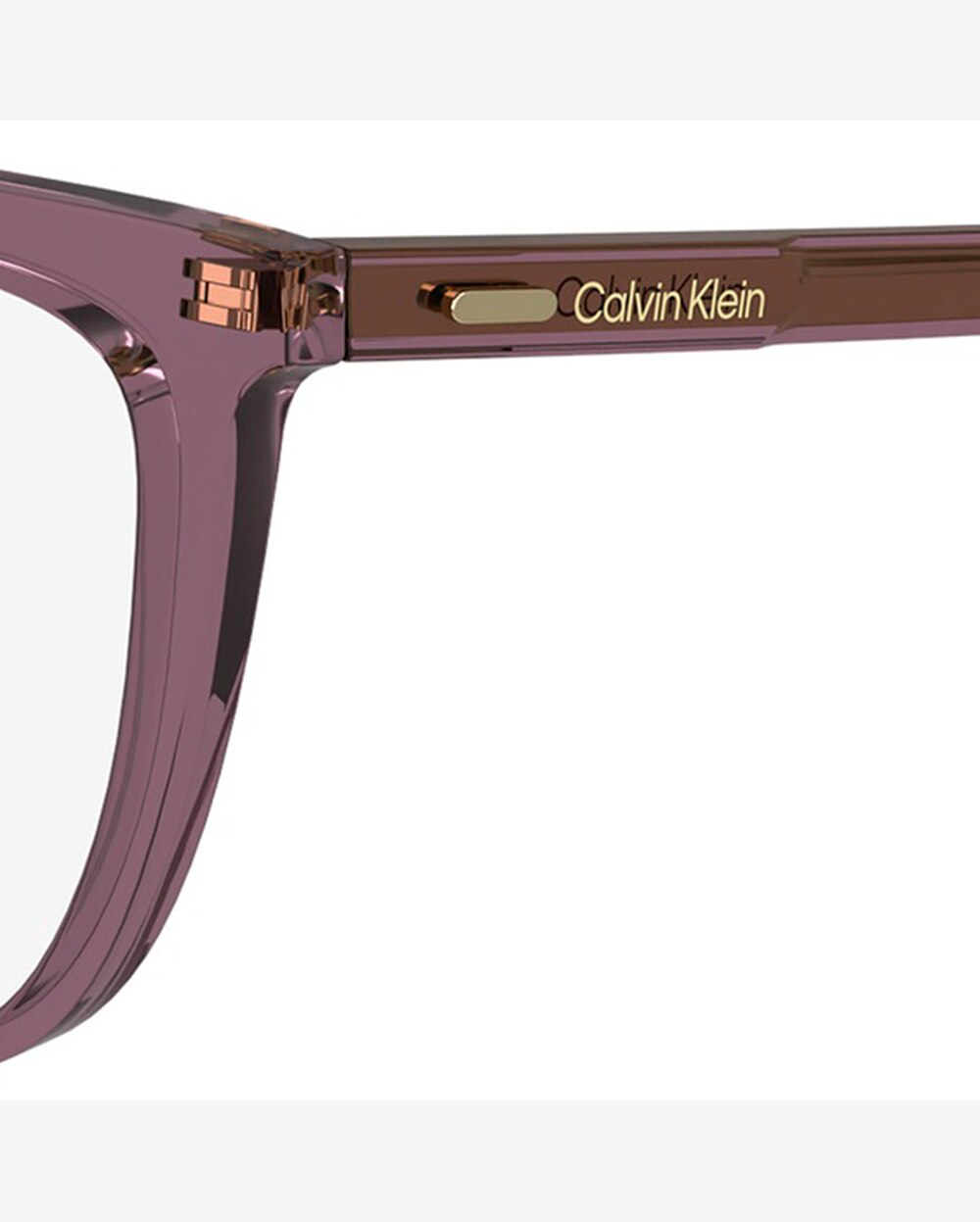 Riachuelo | Armação de Óculos Calvin Klein CK24520 533 - Violeta 54