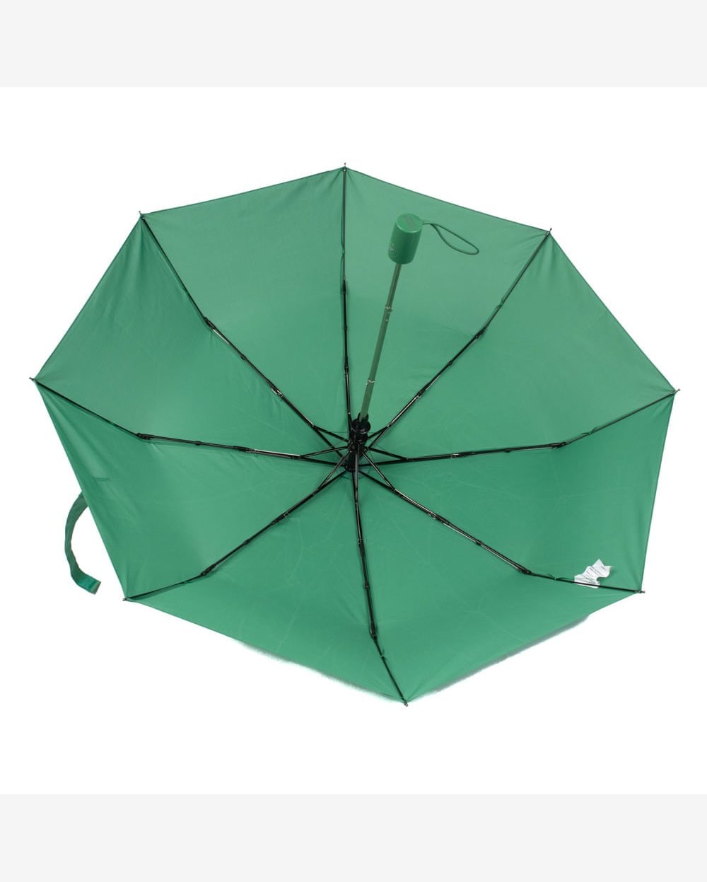 Riachuelo | Sombrinha Fazzoletti Automático Verde