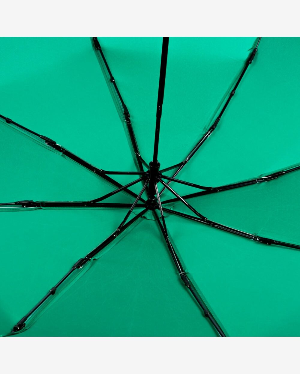 Riachuelo | Sombrinha Fazzoletti Lisa Verde