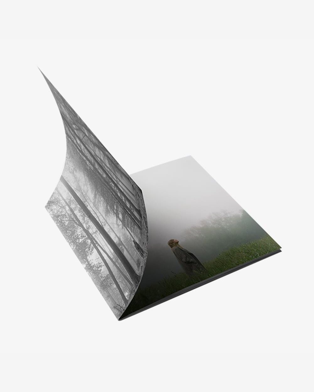 Riachuelo | CD Taylor Swift - Folklore - 1. the "in the trees" edition deluxe cd