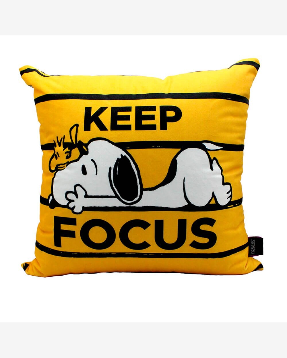Riachuelo | Almofada 40x40 Focus Snoopy